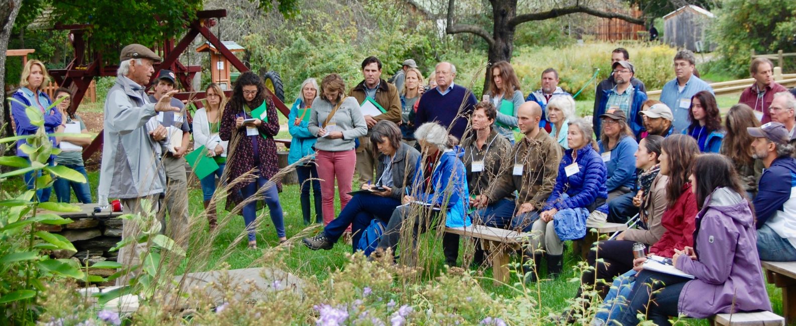 Home Page - Stonewall Farm