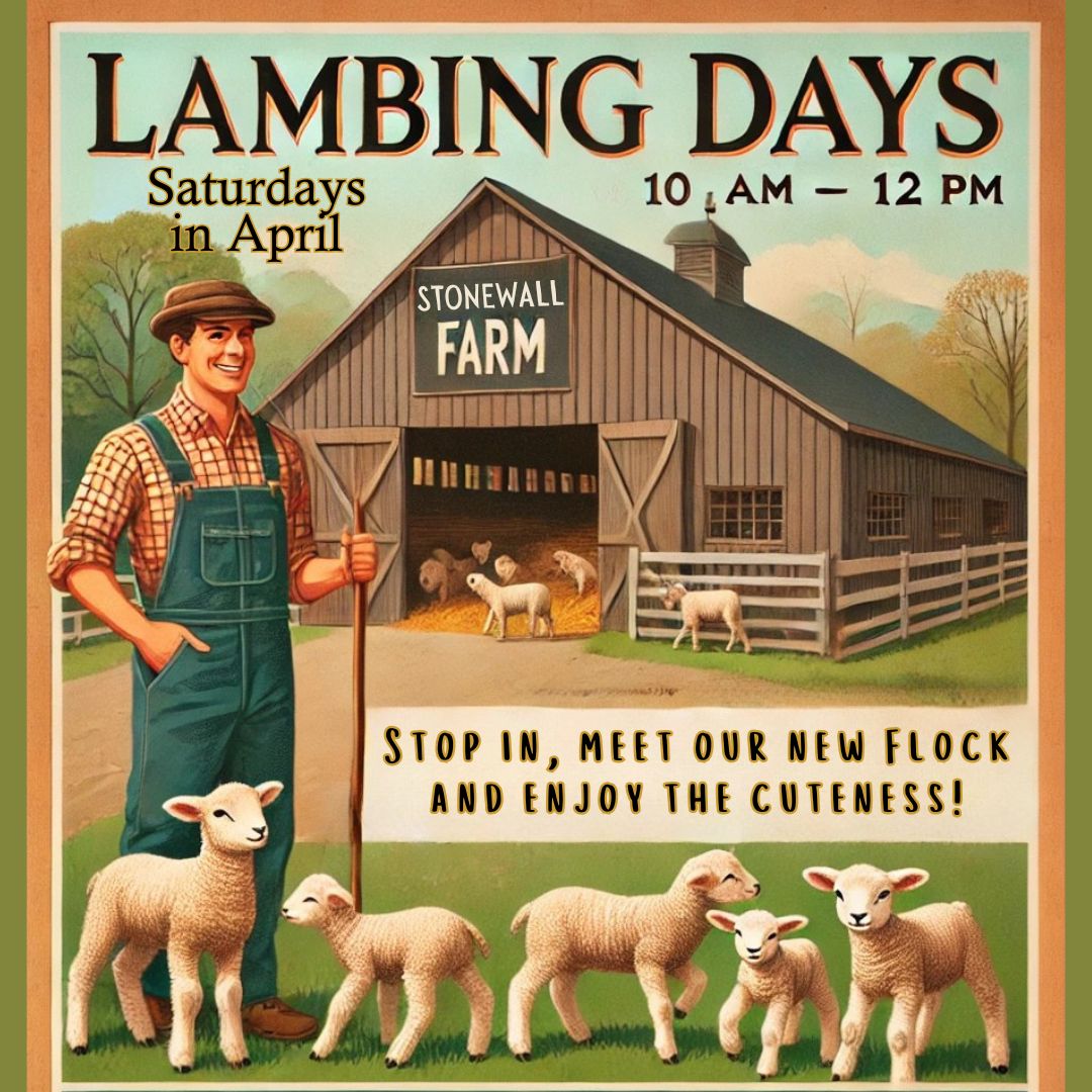 Home - Stonewall Farm