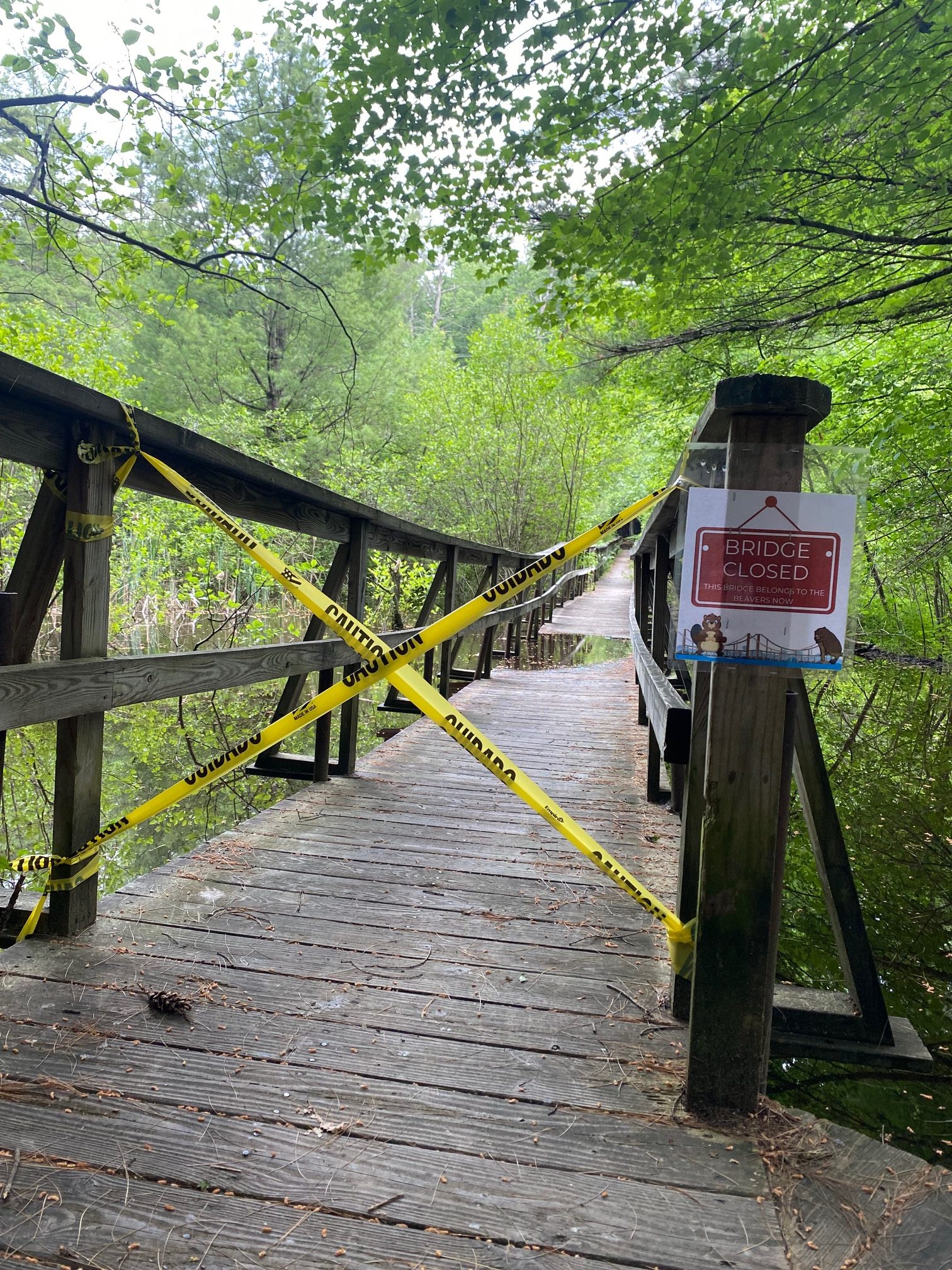🔧🚧Help Us Reach the Finish Line - The Boardwalk is Coming Back!🔧🚧 ...