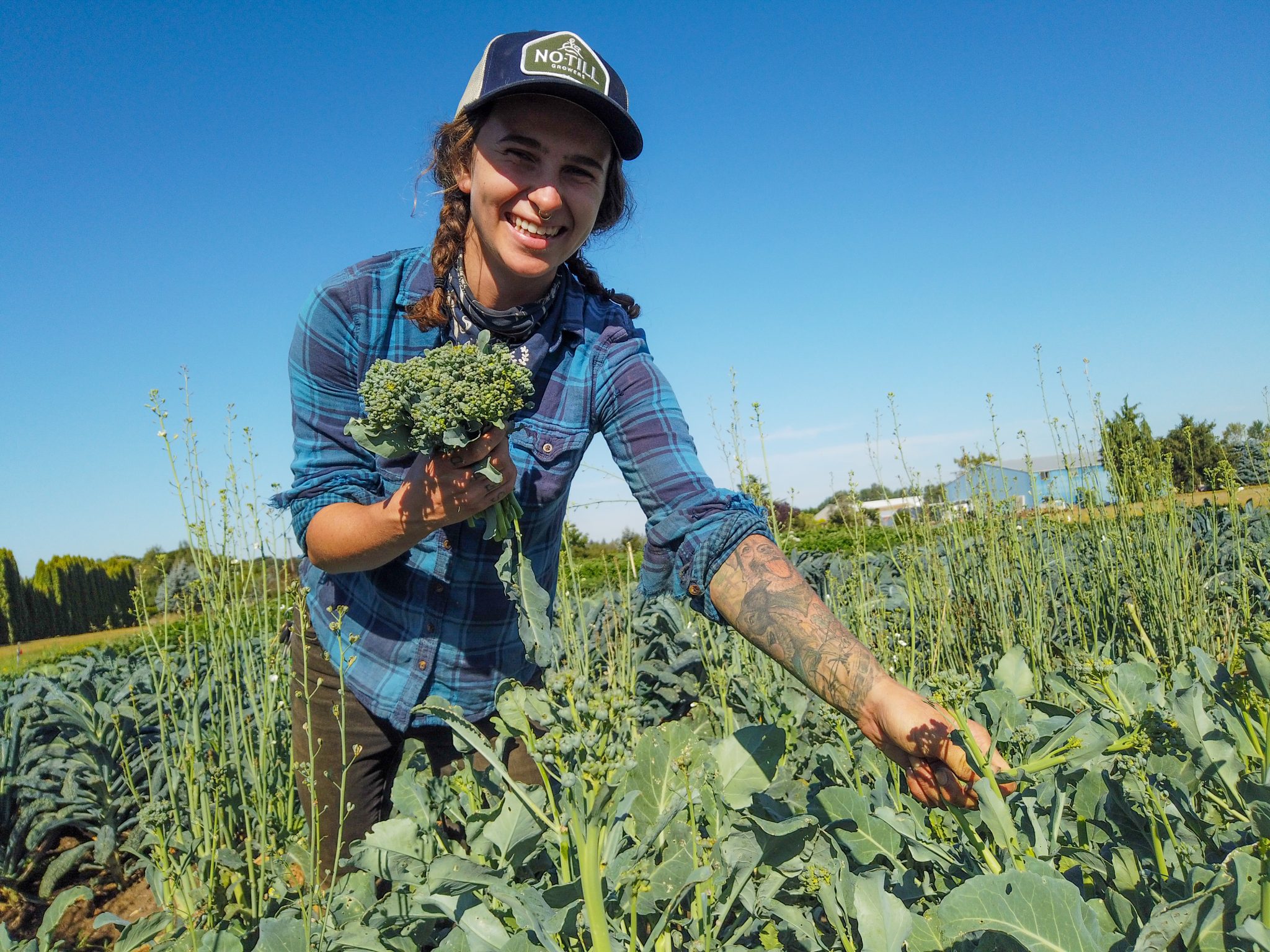 Corporate Sponsorship - Stonewall Farm