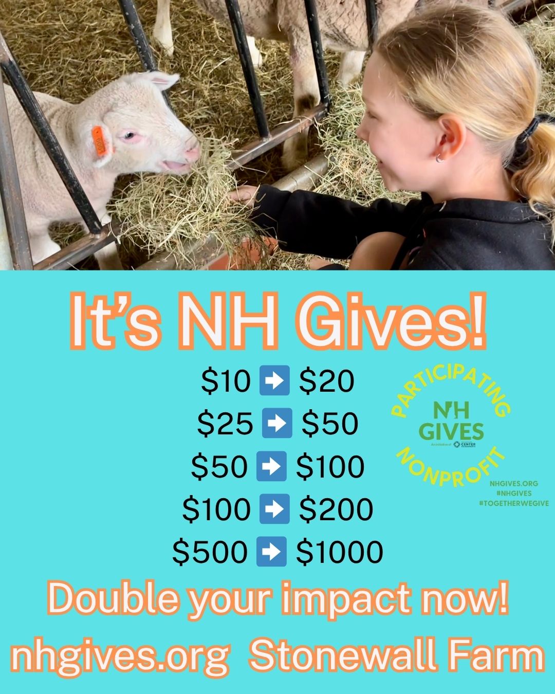 Home Page - Stonewall Farm