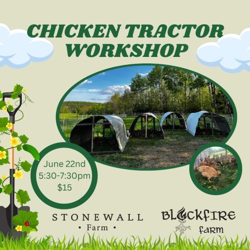 Home - Stonewall Farm