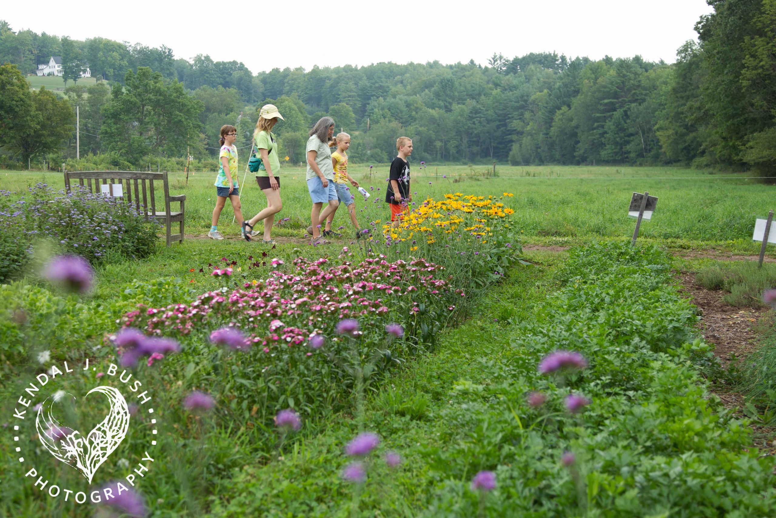 Adult & Family Programs - Stonewall Farm